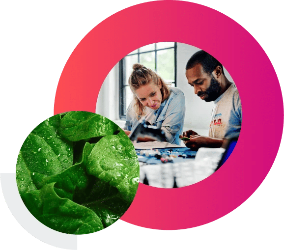 B2X Case Study Digital Platform Services